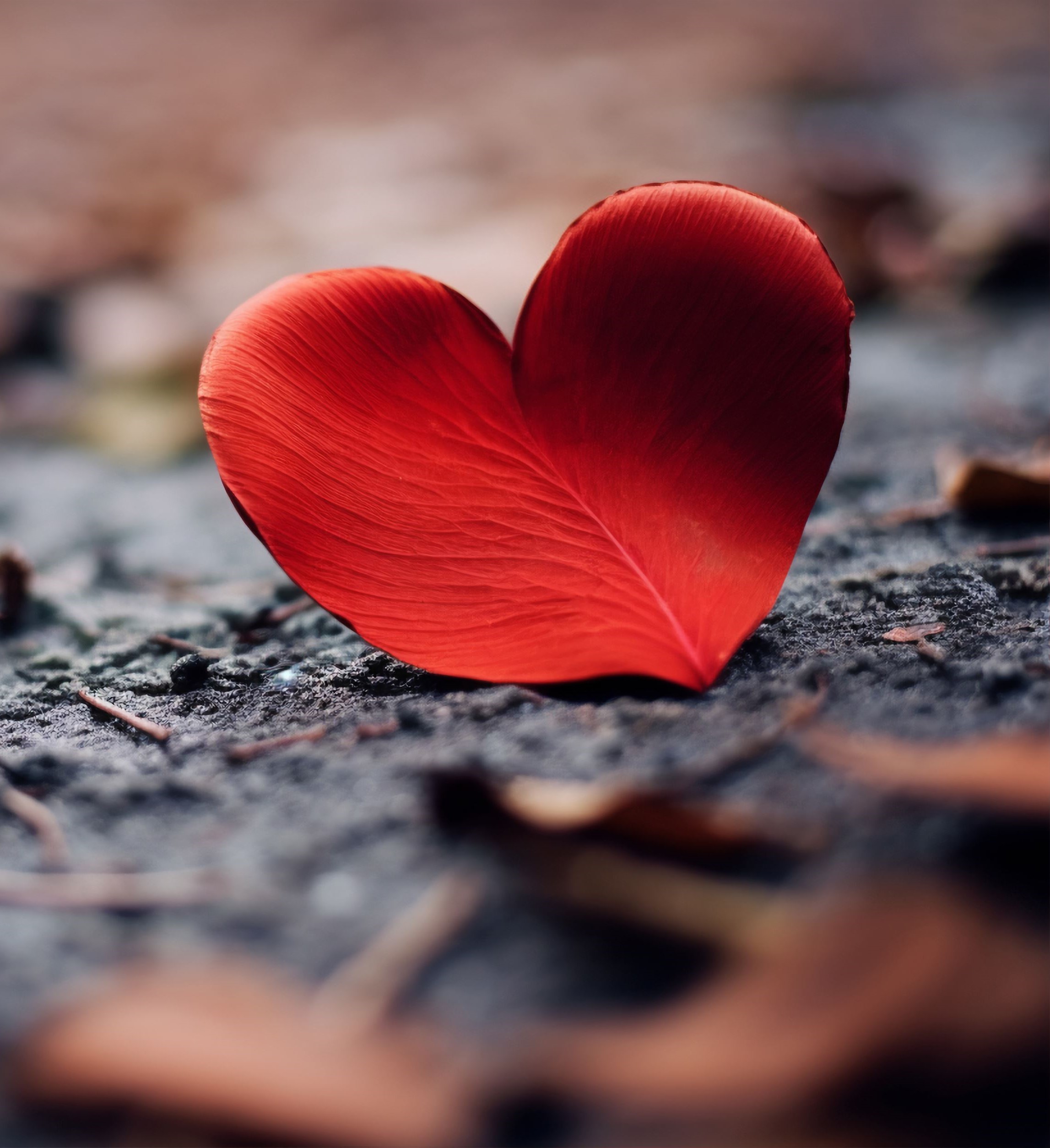 Directo al Corazón – Taller del Benestar